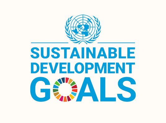 Social Value Consultancy – Social Value & ESG Calculator